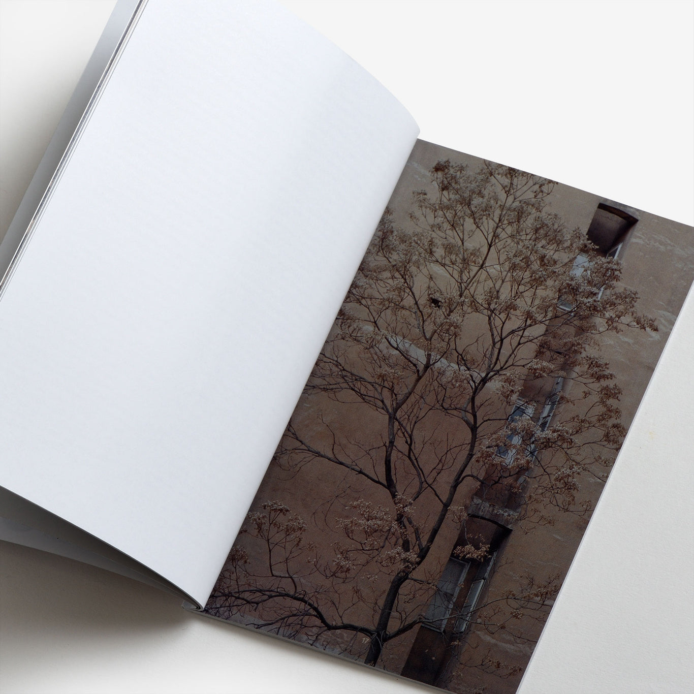 Interlogue IV | North East